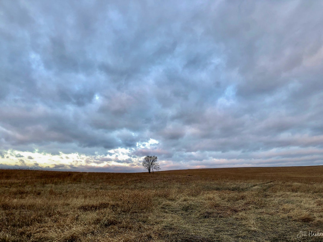 Lone Tree Prairie - Etsy