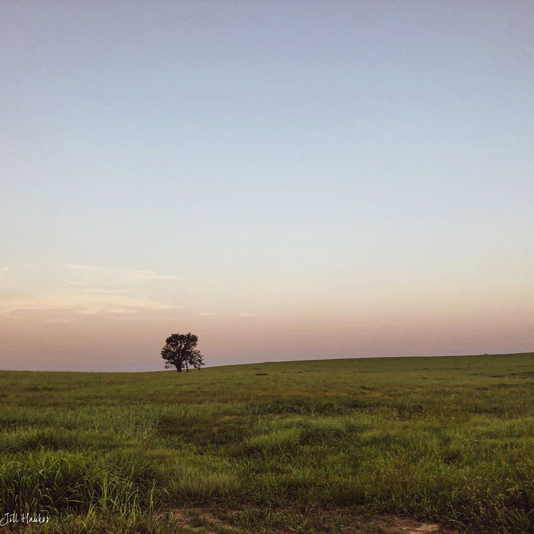 Peace on Lone Tree Prairie - Etsy