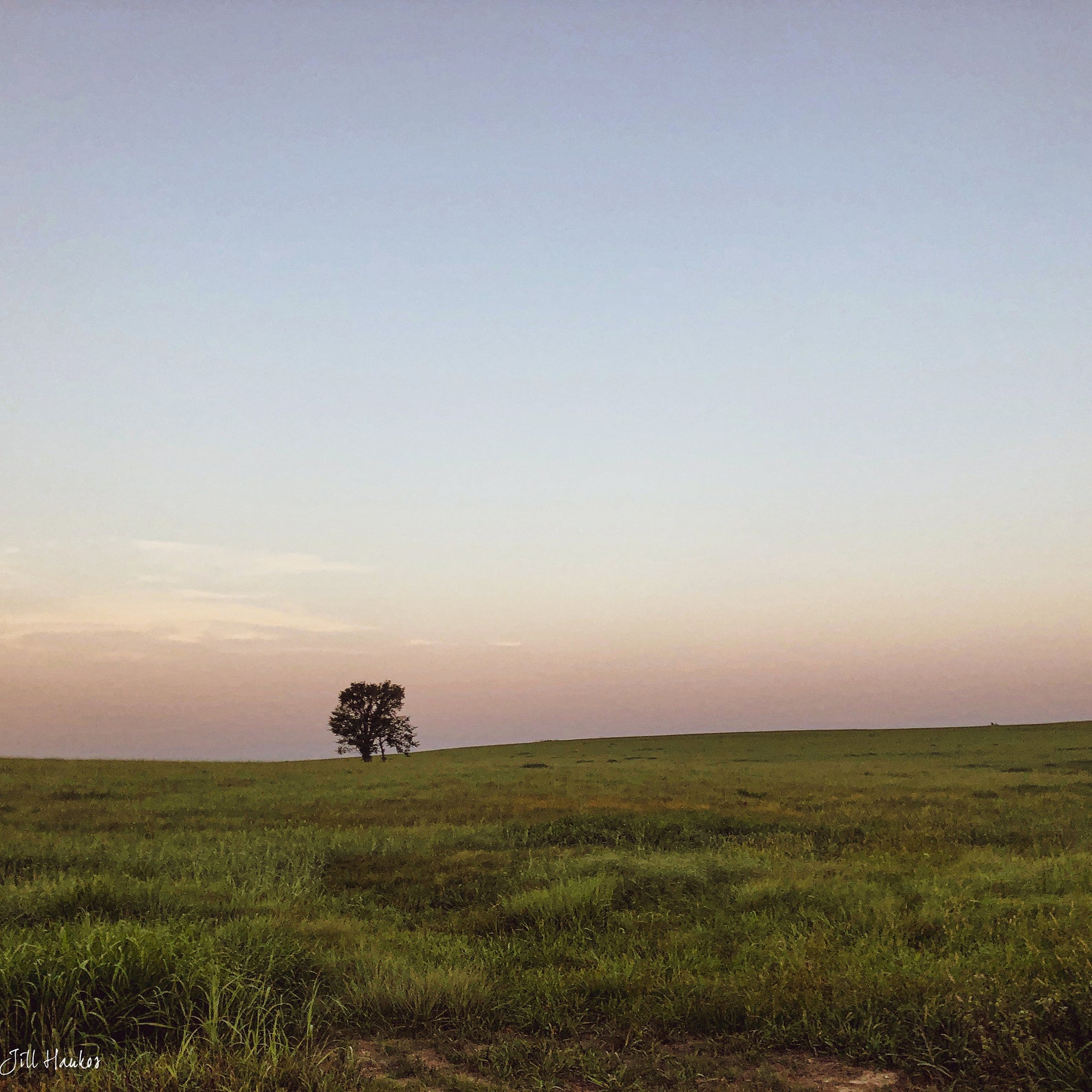 Peace on Lone Tree Prairie - Etsy