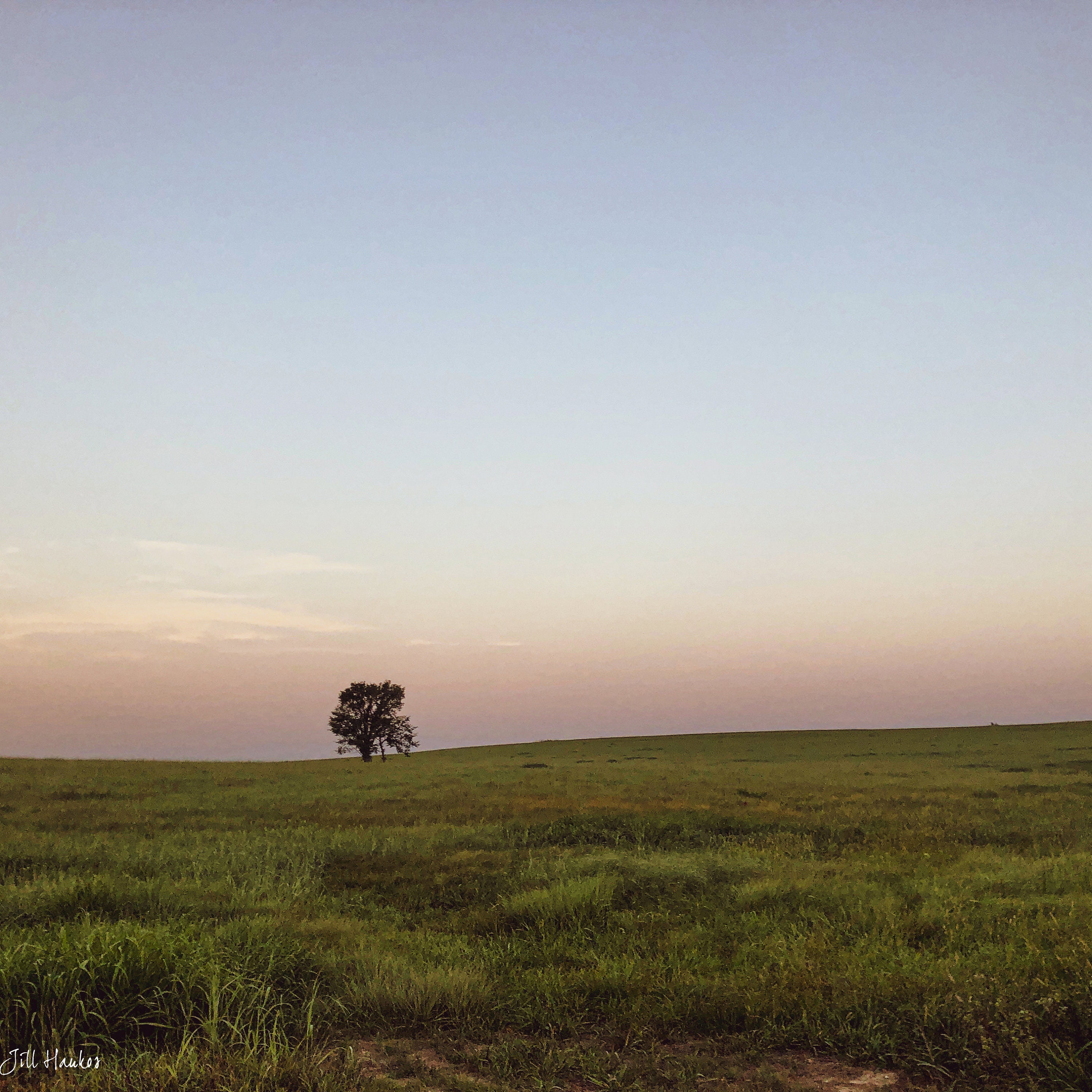 Peace on Lone Tree Prairie - Etsy