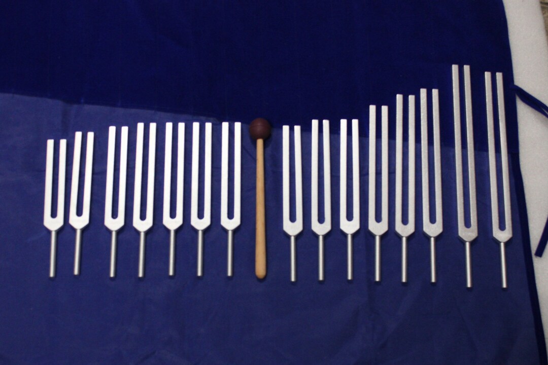 15 Pc Human Organ Tuning Fork Set With Mallet Activator and Pouch for ...
