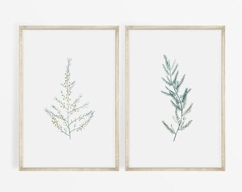 Botanical Wall Art, Modern Farmhouse Wall Decor, Gallery Wall, Set of 2 ...