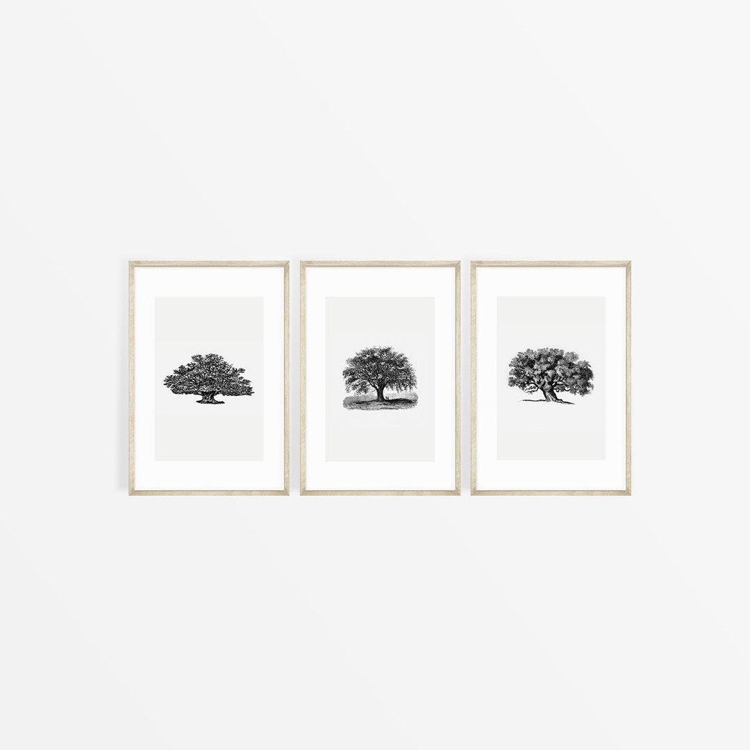 Tree Etch , Tree Drawing, Tree Sketch Art Print, Vintage Art Print ...