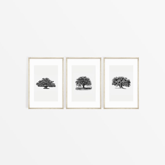 Tree Etch Tree Drawing Tree Sketch Art Print Vintage Art | Etsy