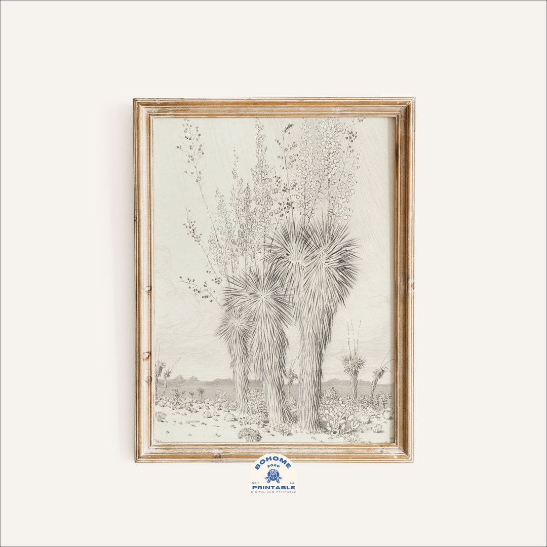 Soaptree Yucca Painting, Desert Plant Drawing, Plant Etch, Sketch Art ...