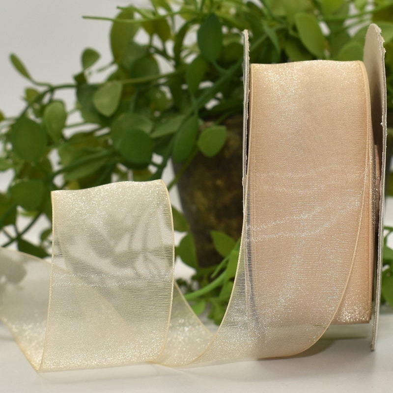 Sheer Organza Ribbon - Etsy