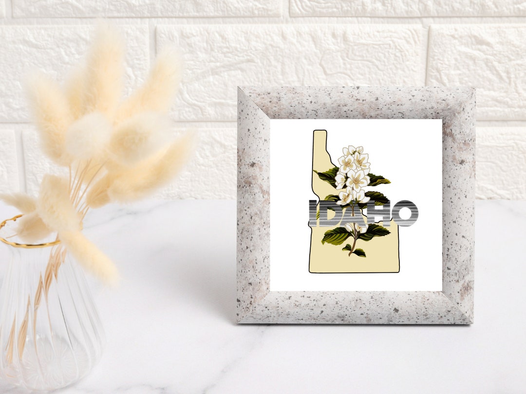 Digital Artwork, Idaho State Flower Digital Download - Etsy