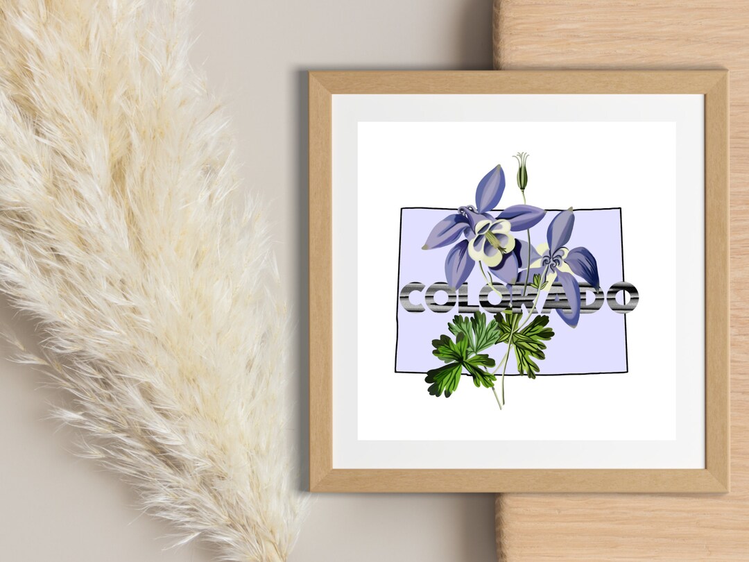 Digital Artwork, Colorado State Flower Digital Download - Etsy