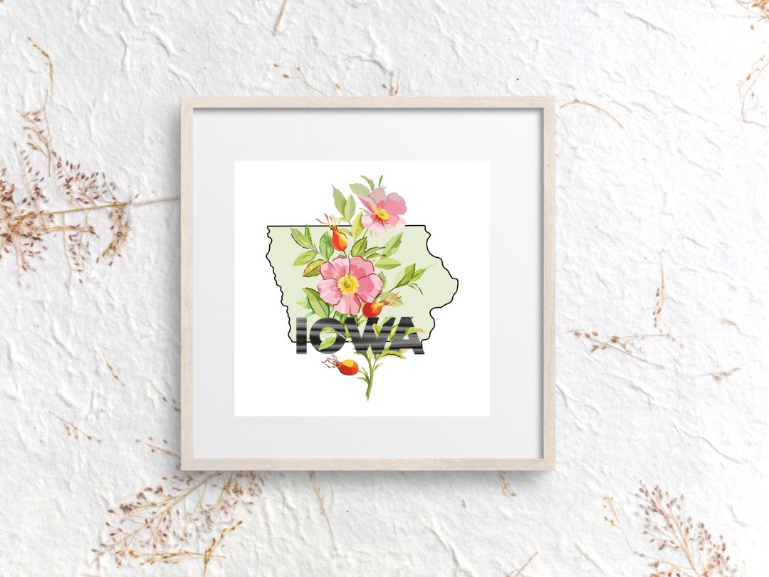 Digital Artwork, Iowa State Flower Digital Download - Etsy