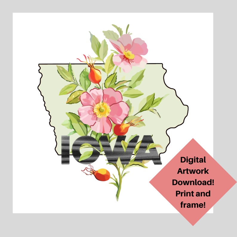 Digital Artwork, Iowa State Flower Digital Download - Etsy