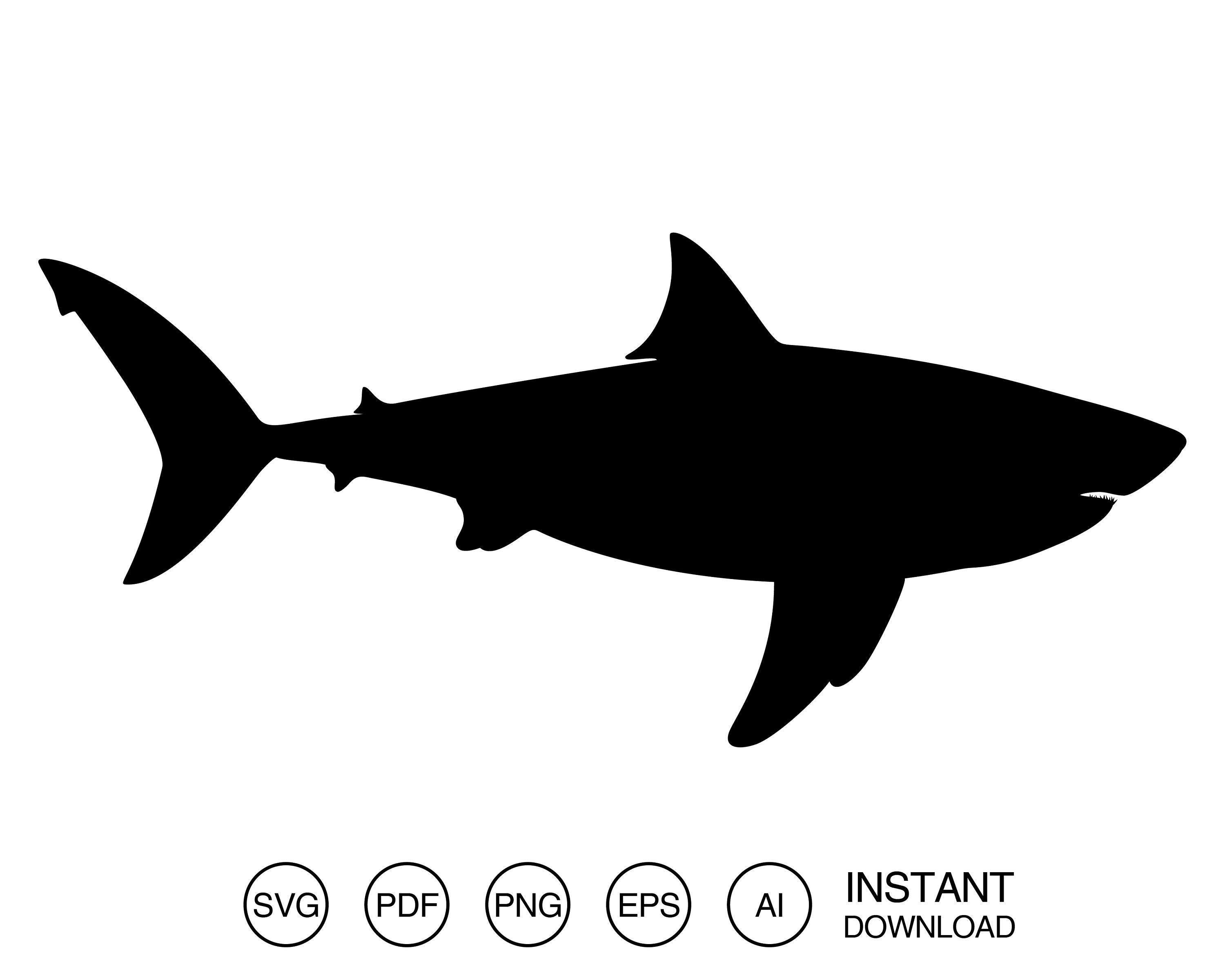 Shark SVG - Etsy