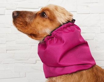 Cavalier Ear Cover - Etsy