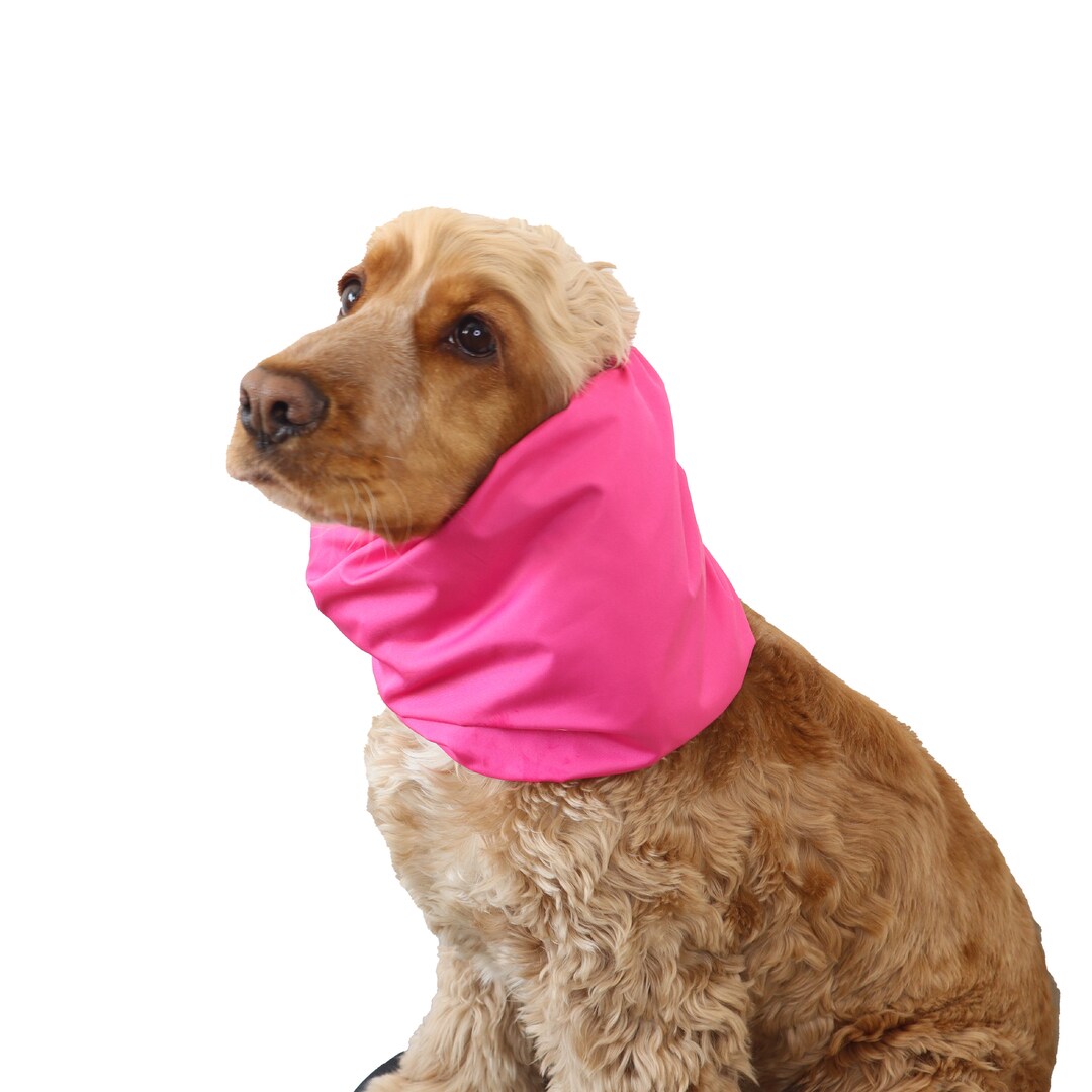 Thin Summer Dog Snood | Pink Feeding Snood for Dog | Cocker Spaniel ...