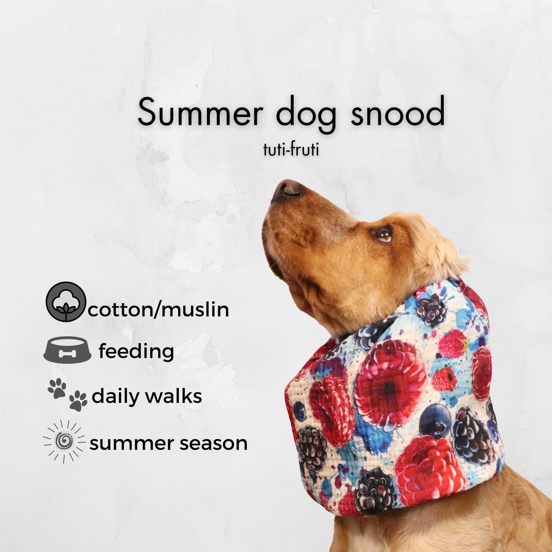 Cotton White Dog Snood "tuti-fruti" | Muslin Cocker Spaniel Snood ...