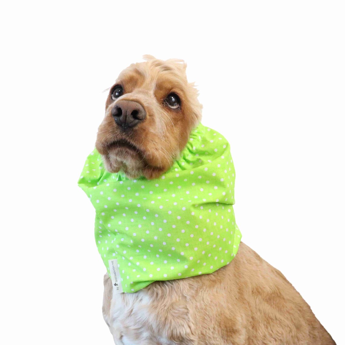 Cotton Dog Snood | Green Summer Snood for Dog | Handmade Cocker Spaniel ...