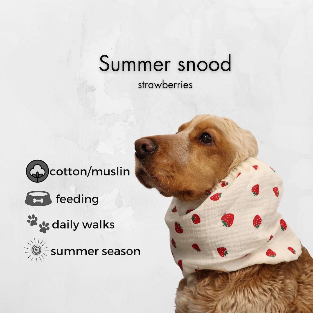 Cotton White Dog Snood "strawberries" | Muslin Cocker Spaniel Snood ...