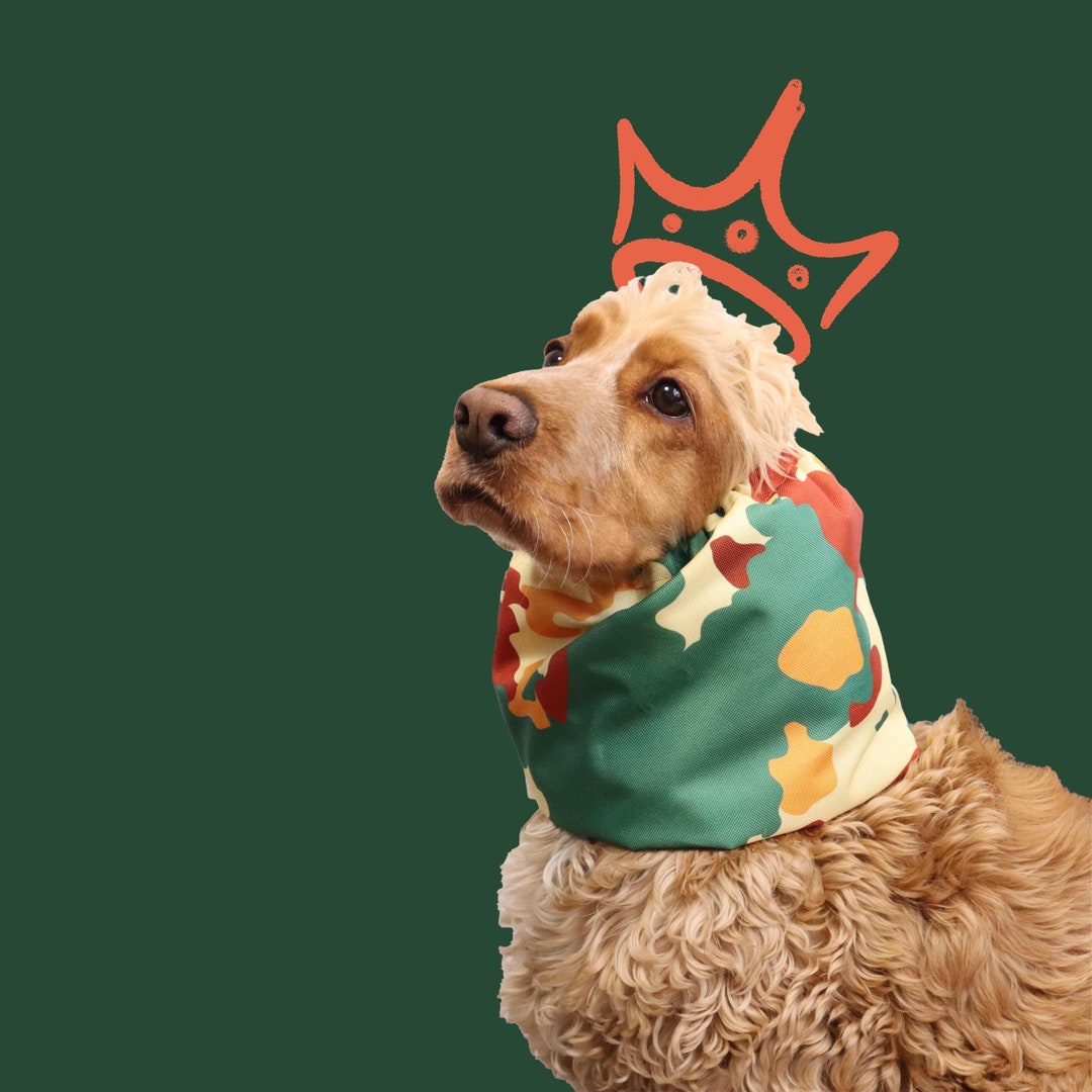 Waterproof Dog Snood Cocker Spaniel Snood Cavalier Snood - Etsy