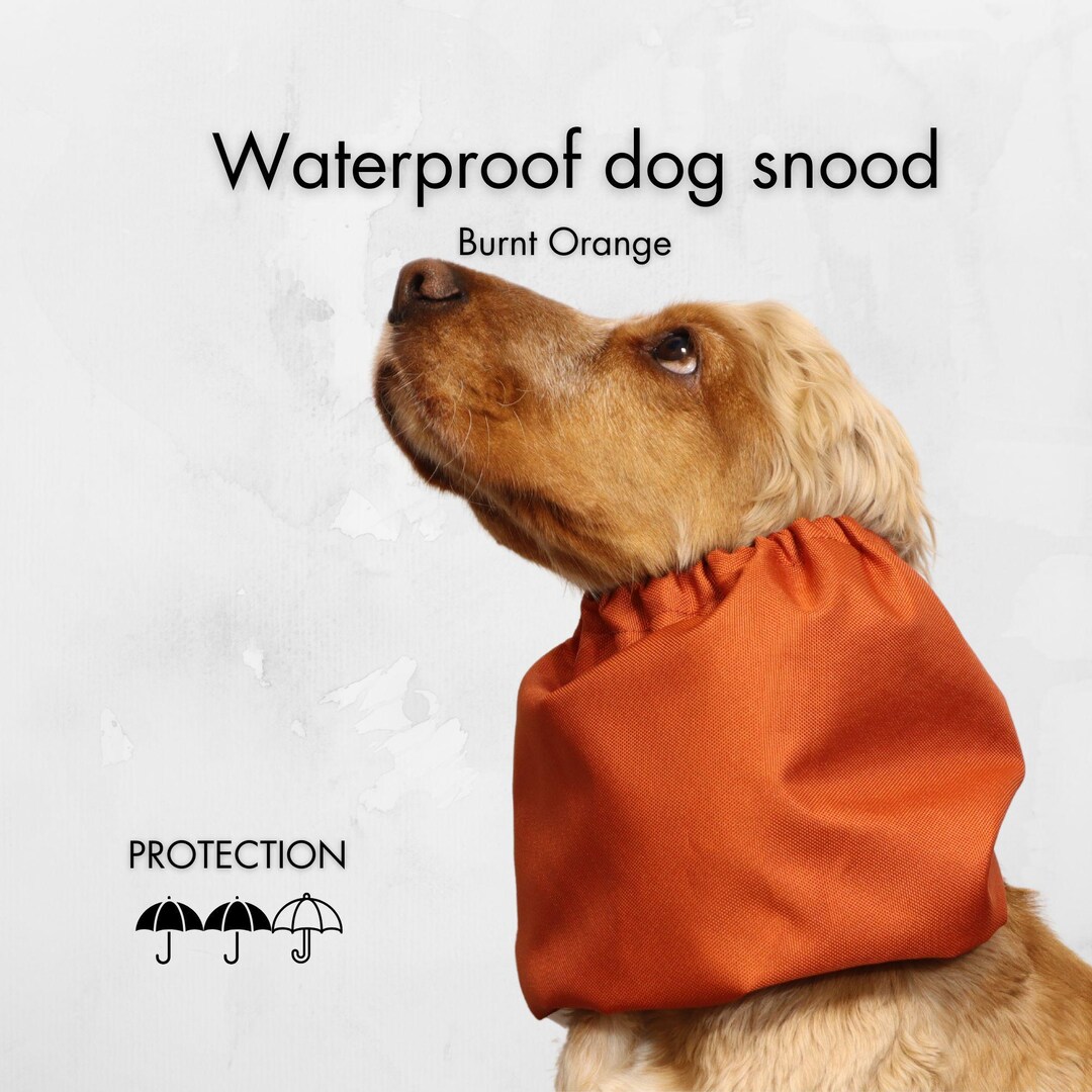 Olive Green Waterproof Dog Snood | Dog Ear Scarf | Dog Ear Protector ...