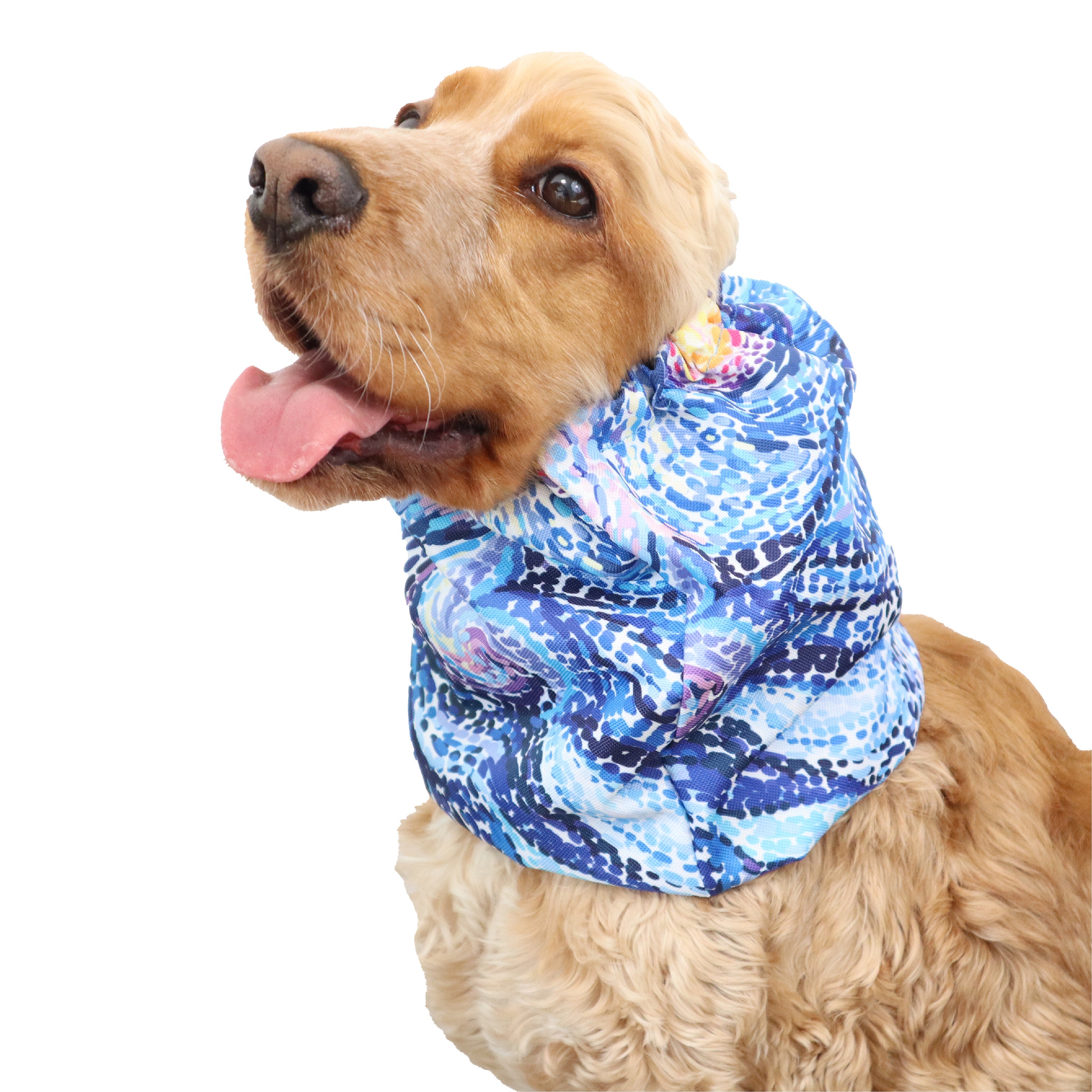 Waterproof Dog Snood "starry Night" | Dog Ear Cover | Cocker Spaniel ...
