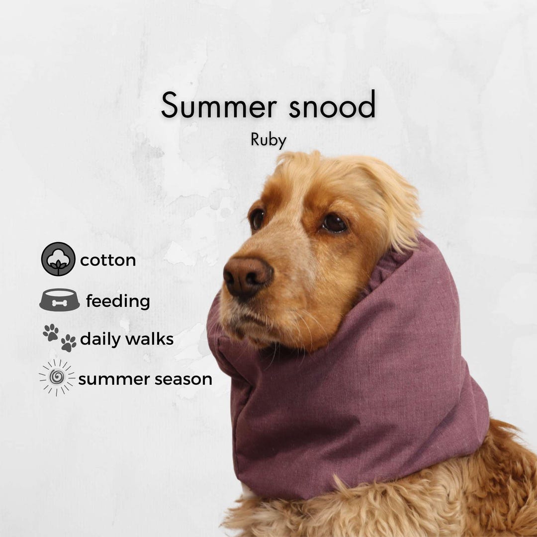 Burgundy Cotton Dog Snood | Cocker Spaniel Summer Ear Protection ...