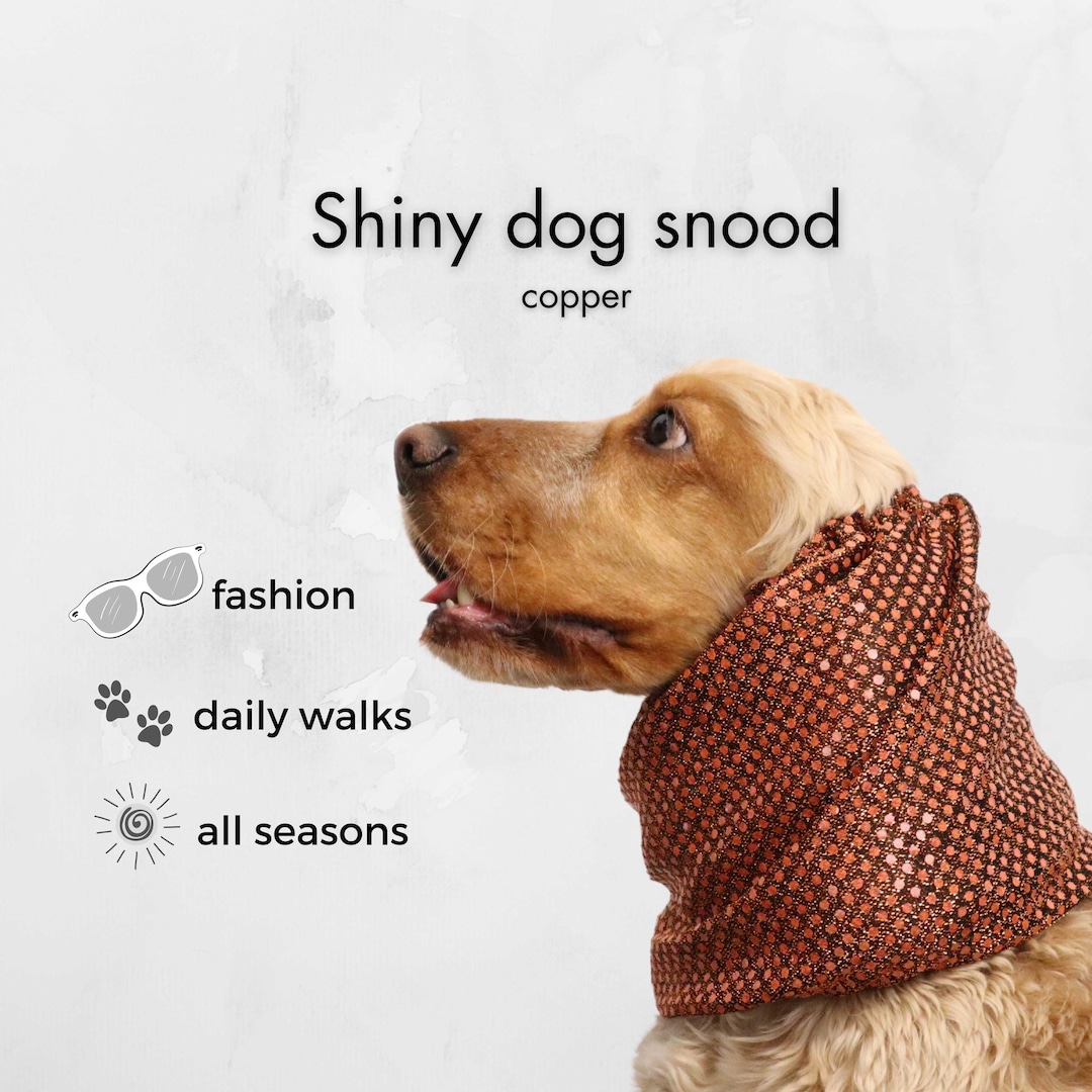 Sparkling Copper Dog Snood | Cocker Spaniel | Basset Hound | Cavalier ...