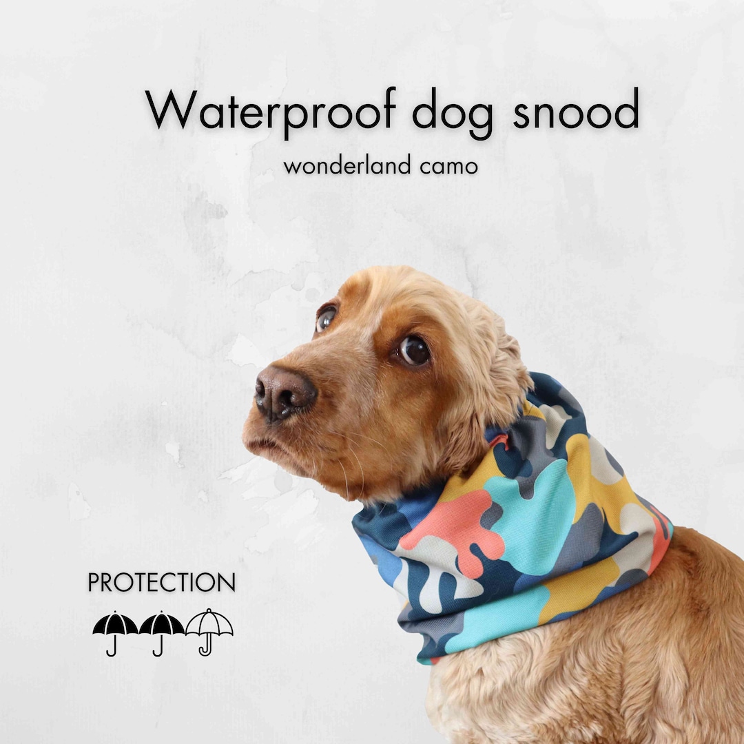 Waterproof Dog Snood | Cocker Spaniel Snood | Cavalier Snood | Basset ...
