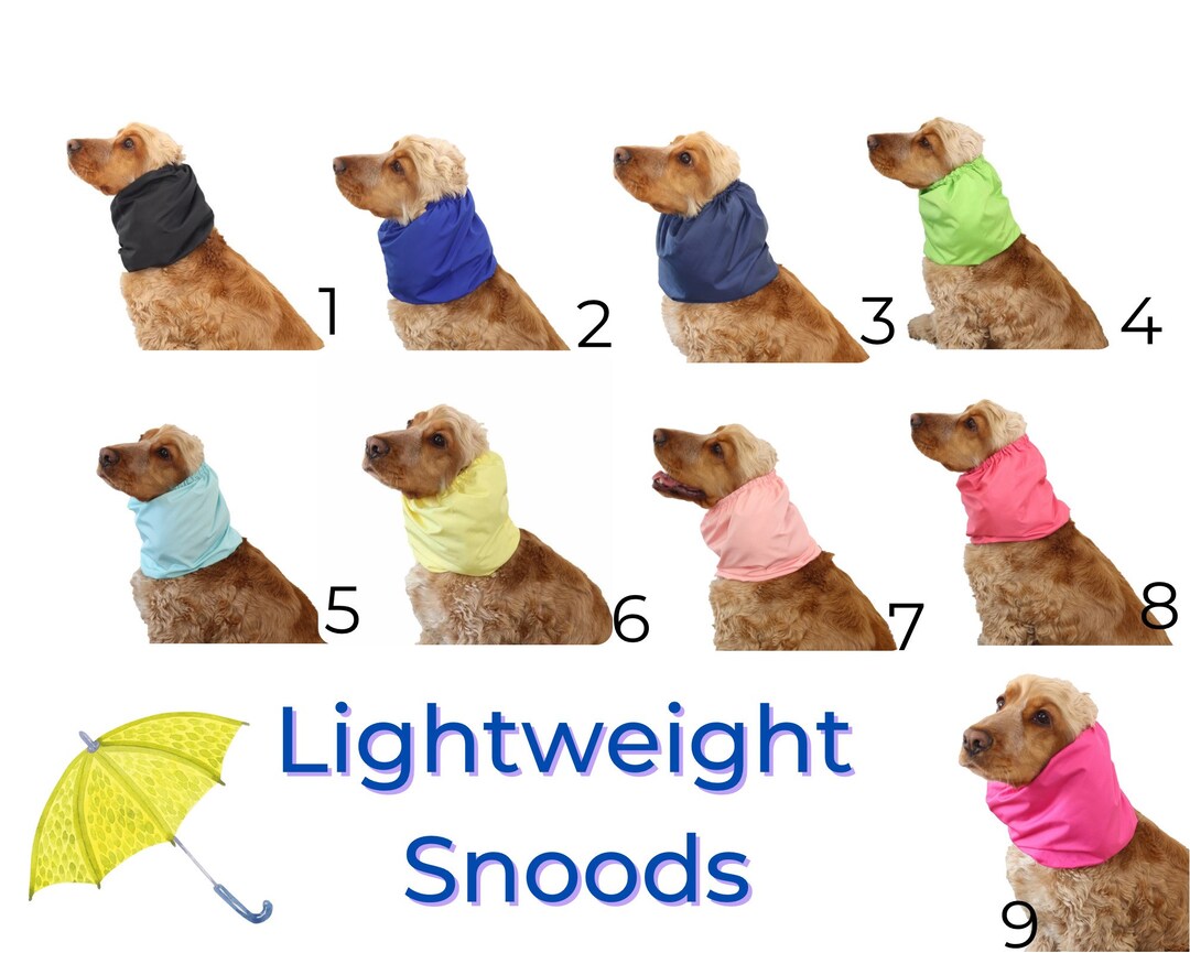 Feeding Dog Snood Cocker Spaniel Snood Basset Snood Saluki Snood Afghan ...