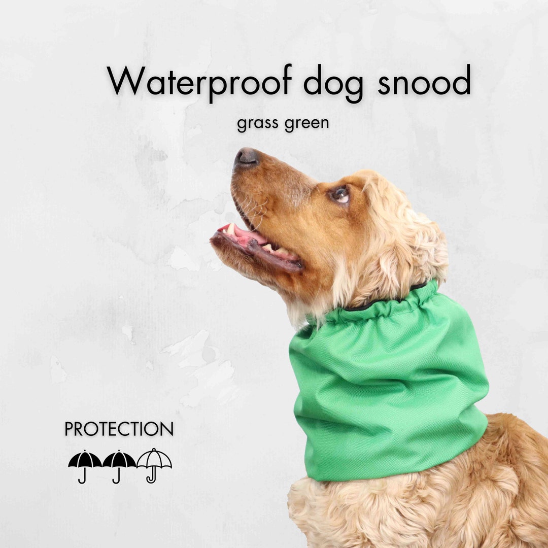 Waterproof Grass Green Dog Snood | Cocker Spaniel Ear Cover | Dog Ear ...