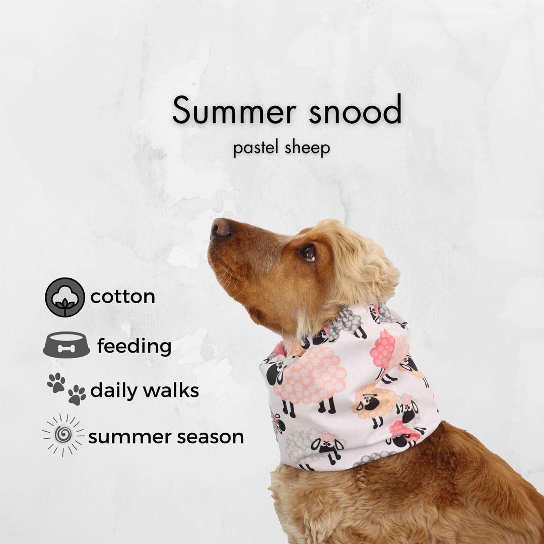 Cotton Dog Snood | Summer Snood for Dog | Cocker Spaniel Snood | Setter ...