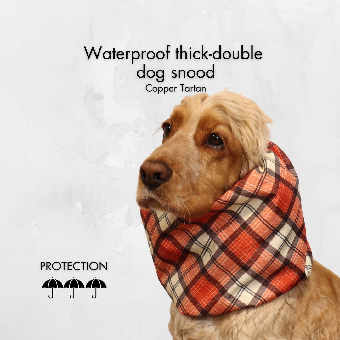 Waterproof Dog Snood "copper Tartan" | Thick Cavalier Snood | Cocker ...