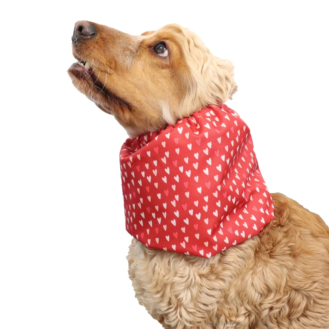 Red Waterproof Dog Snood Cocker Spaniel Snood Cavalier Ear - Etsy