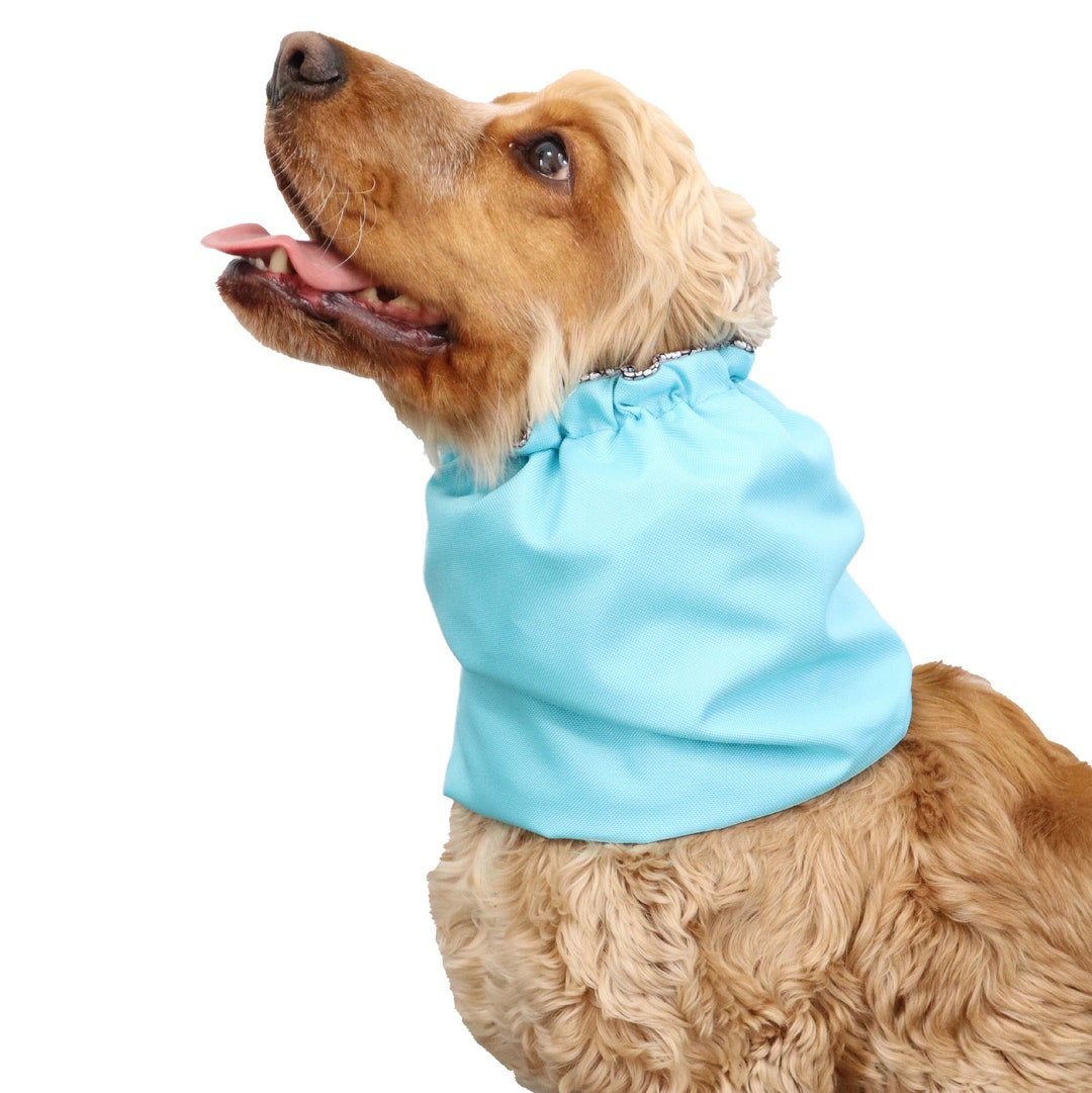 Waterproof Thick Dog Snood Aqua Blue Cocker Spaniel Snood - Etsy