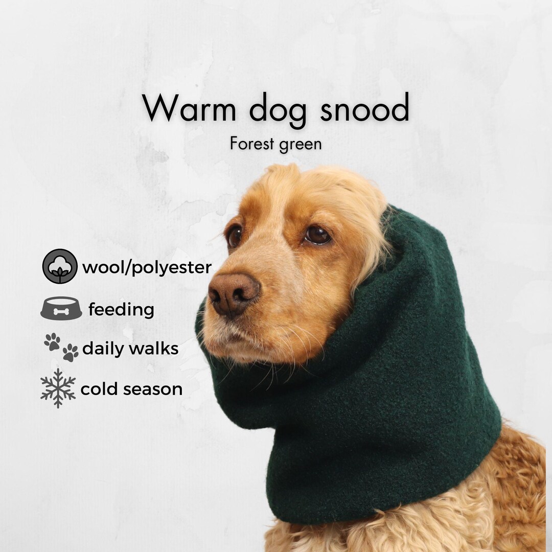 Green Wool Dog Snood | Classic Old Money Dog Ear Cover for Cocker ...