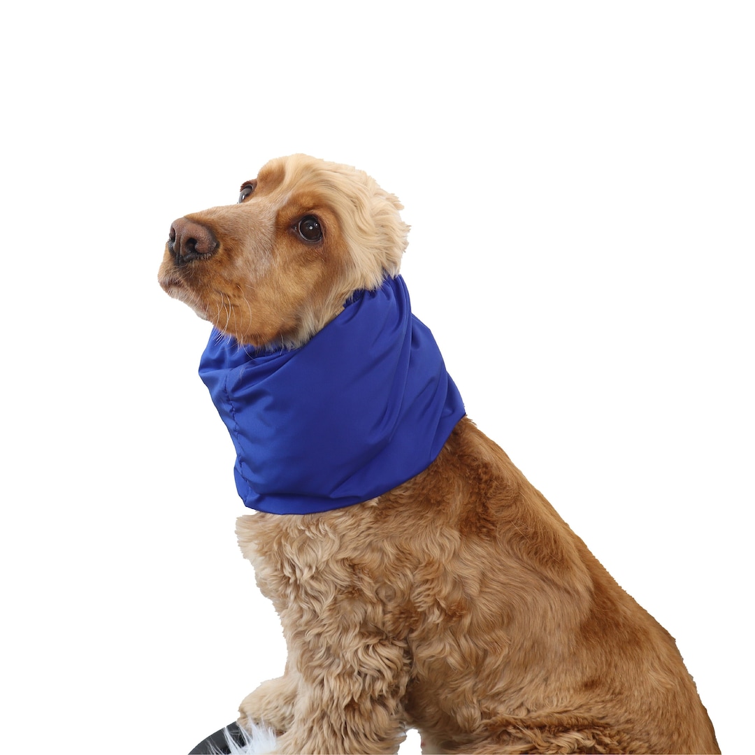 Feeding Dog Snood | Blue Thin Snood for Dog | Cocker Spaniel Snood ...