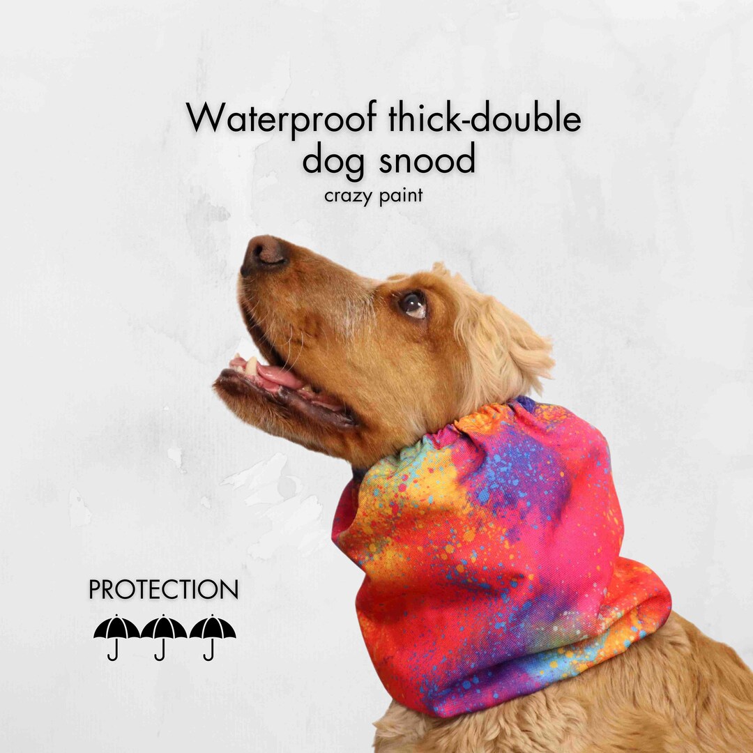 Waterproof Thick Dog Snood "crazy Colours" | Dog Ear Scarf | Dog Ear ...