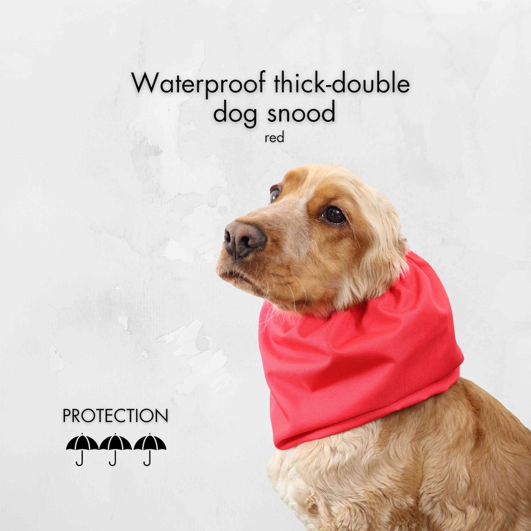 Red Waterproof Thick Dog Snood | Cavalier Ear Protector | Cocker ...