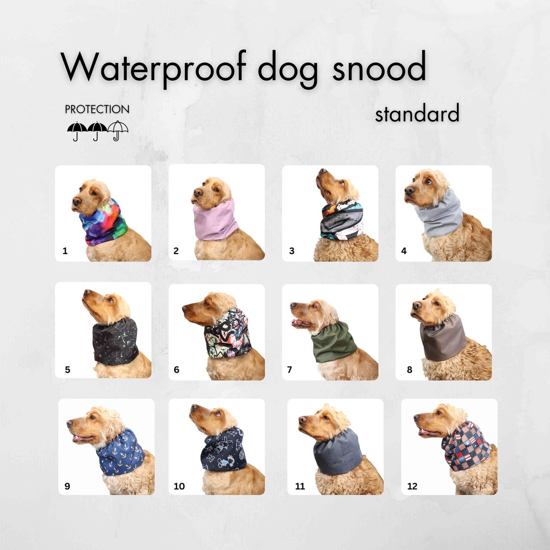 Waterproof Dog Snood | Cocker Spaniel Snood | Cavalier Snood | the Best ...