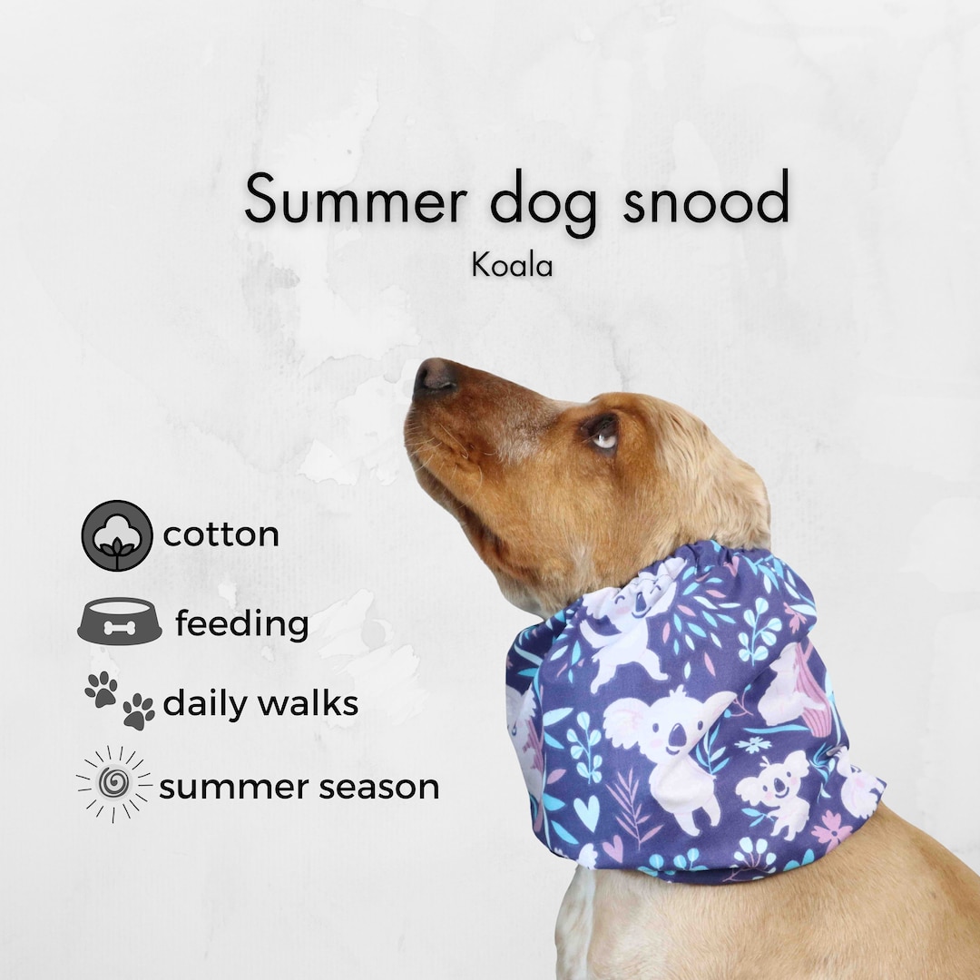 Blue Cotton Dog Snood | Cocker Spaniel | Basset Hound | Cavalier Snood ...