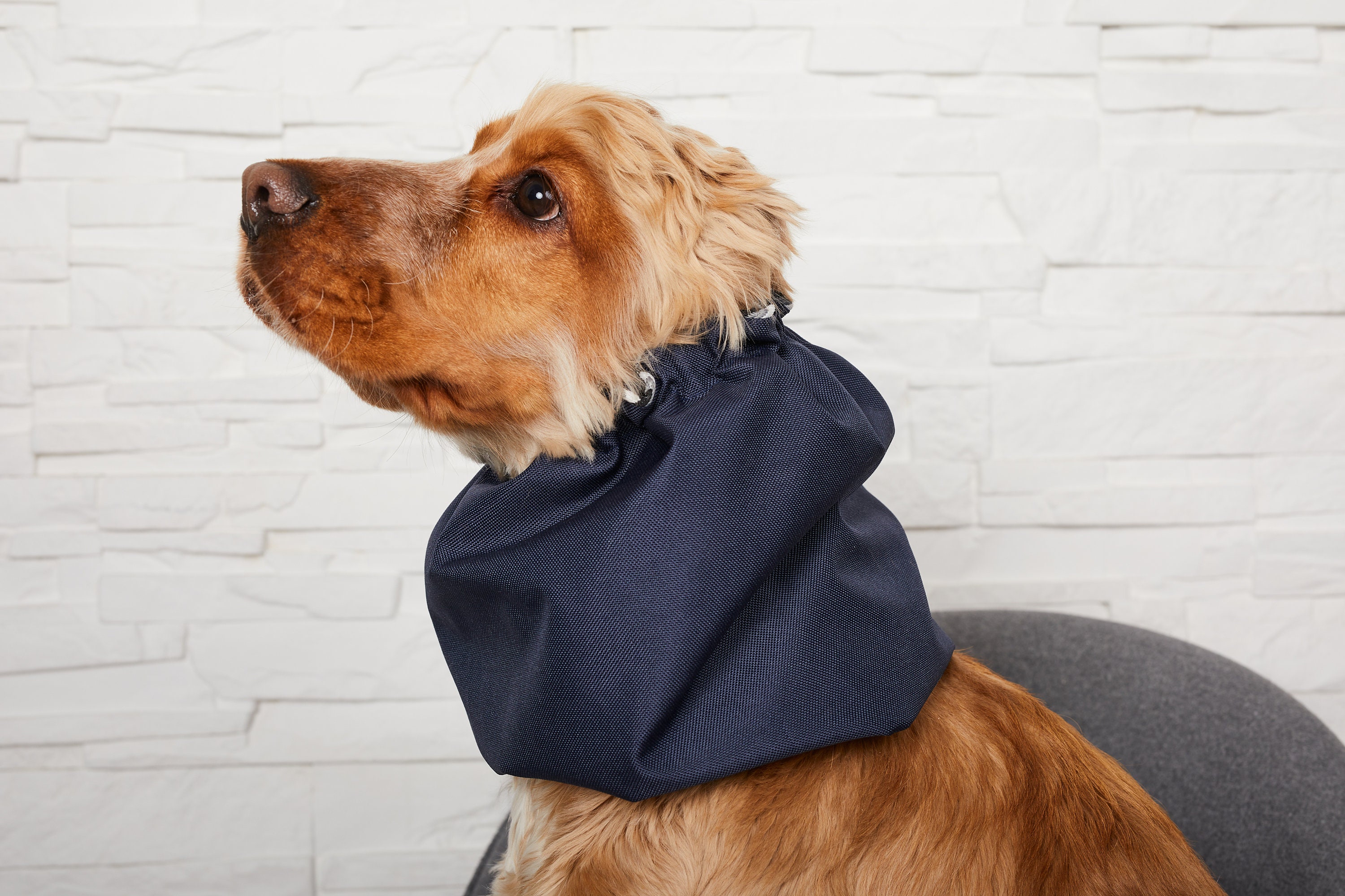 Navy Blue Waterproof Thick Dog Snood Minimalistic Ear Scarf - Etsy UK