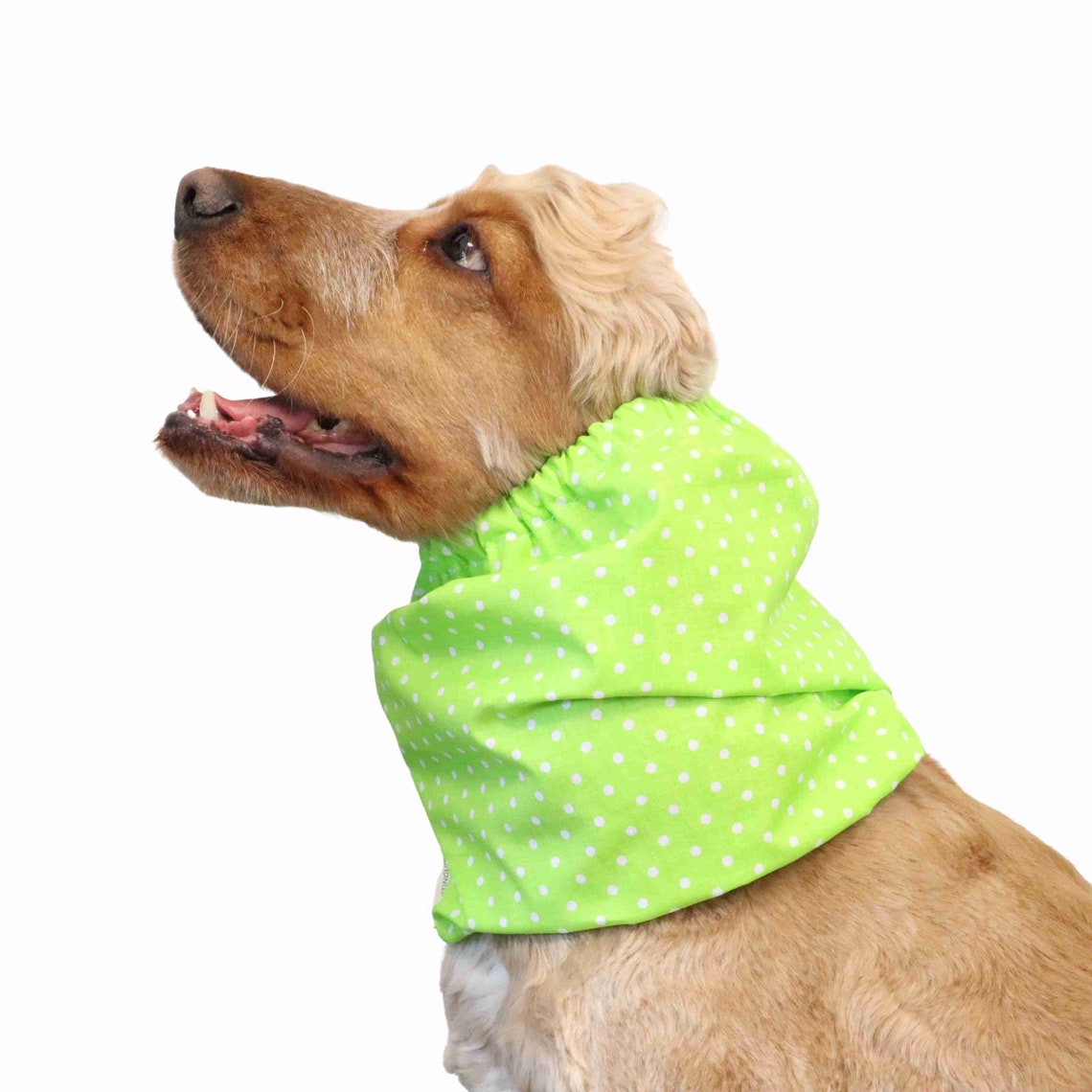 Cotton Dog Snood | Green Summer Snood for Dog | Handmade Cocker Spaniel ...