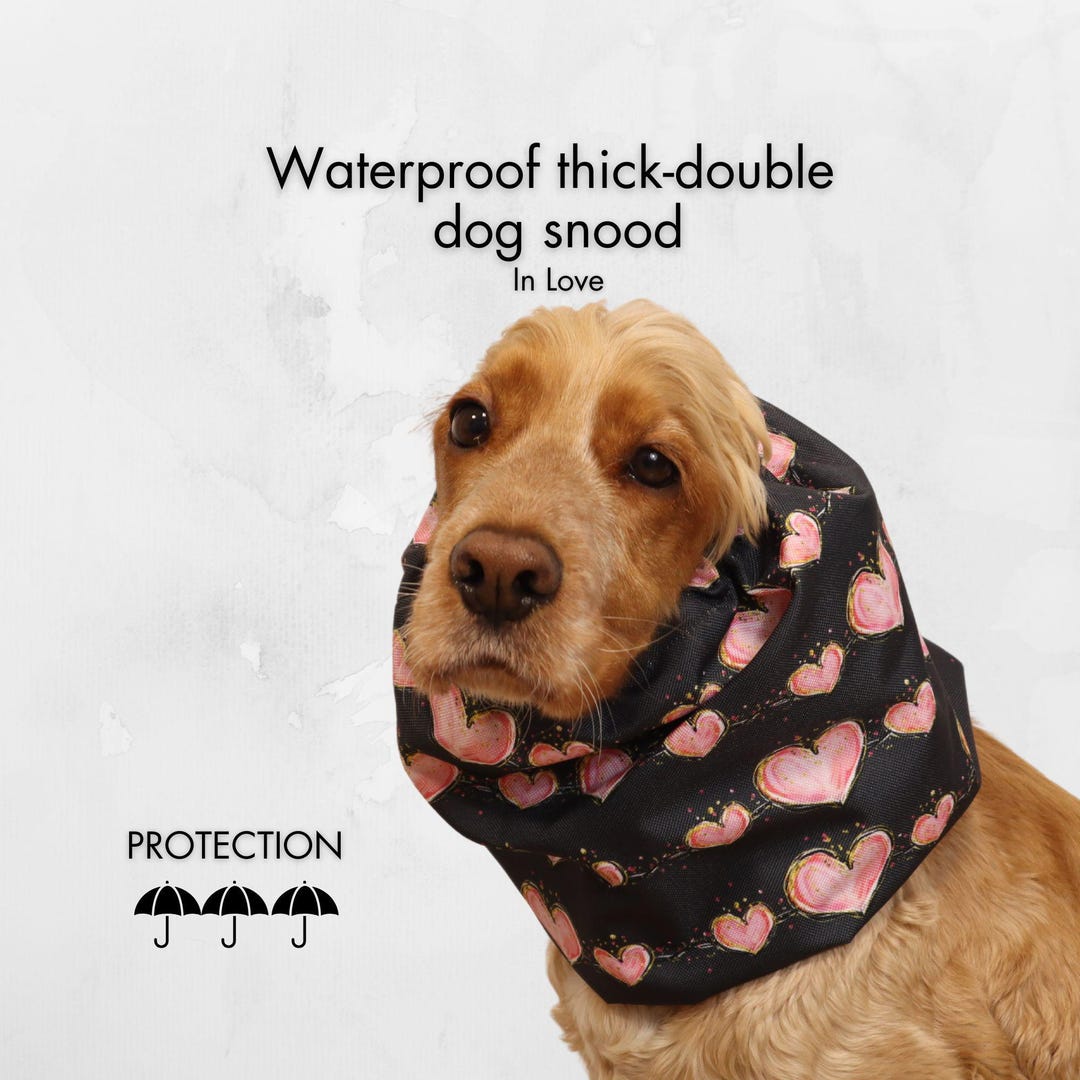 Waterproof Dog Snood "in Love" | Thick Cavalier Snood | Cocker Spaniel ...