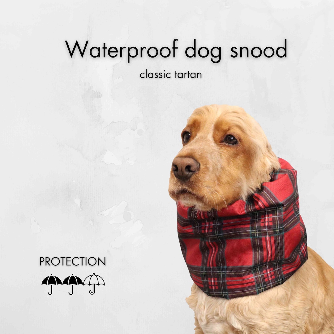 Waterproof Dog Snood "classic Tartan" | Basset Snood | Snood for Dog ...