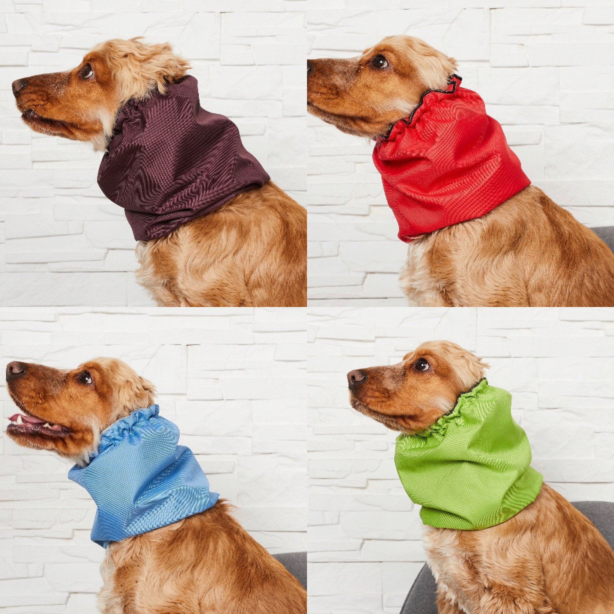 Waterproof Dog Snood Thick Dog Snood Cocker Spaniel Snood - Etsy