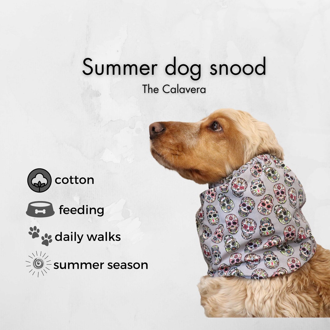 Gray Cotton Dog Snood With Skull Prints "calavera" | Cocker Spaniel ...