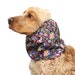Waterproof Dog Snood | Cocker Spaniel Snood | Basset Hound Snood ...
