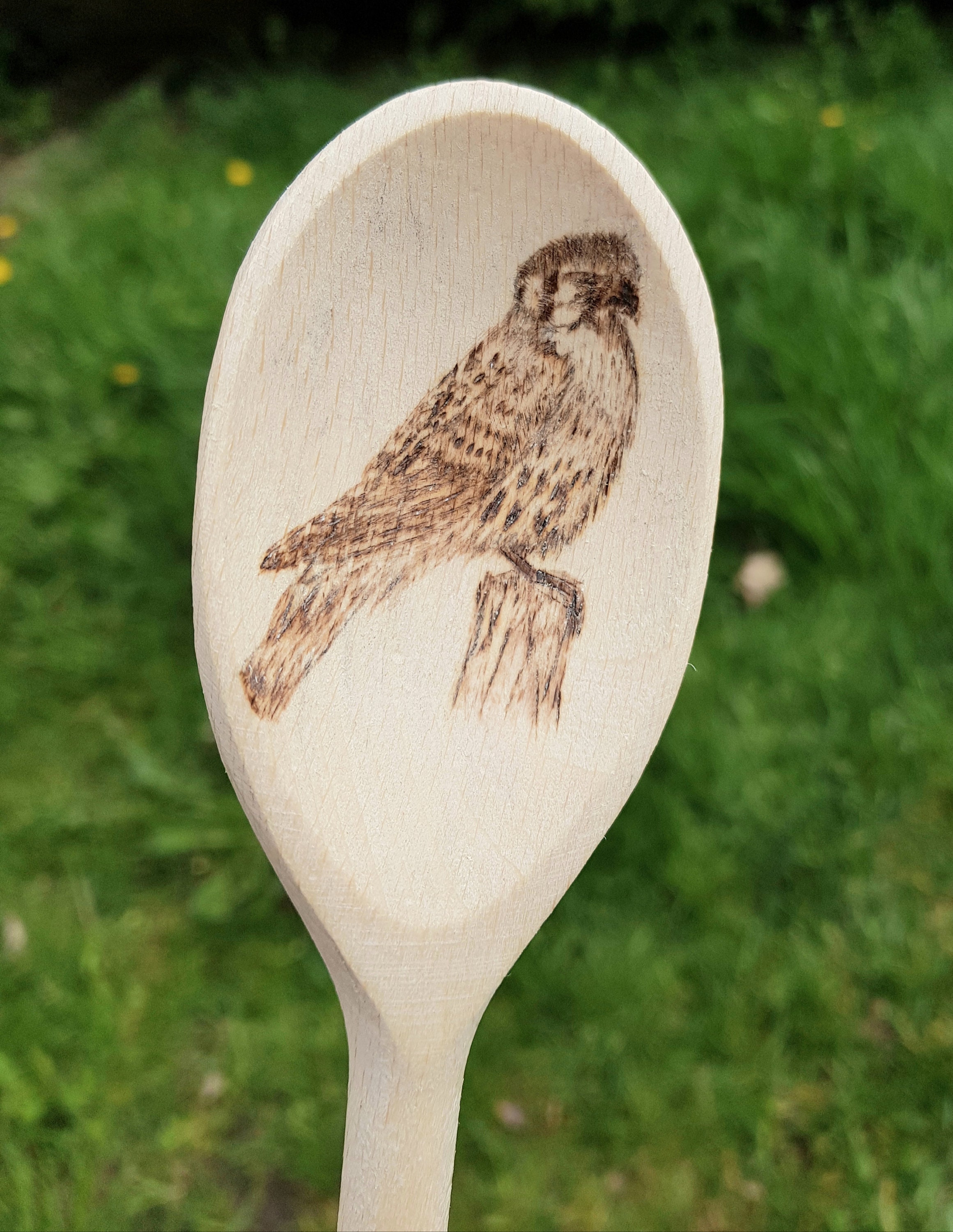 Pyrograpy Spoons With Bird Designs.5 Different Birds Available.owl ...
