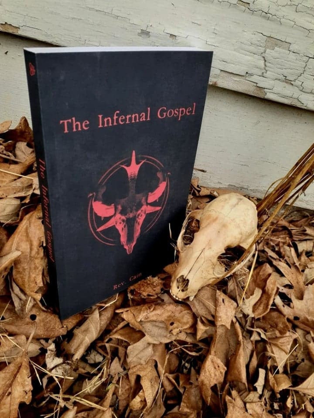 The Infernal Gospel Une Bible de renommée mondiale pour le satanisme ...