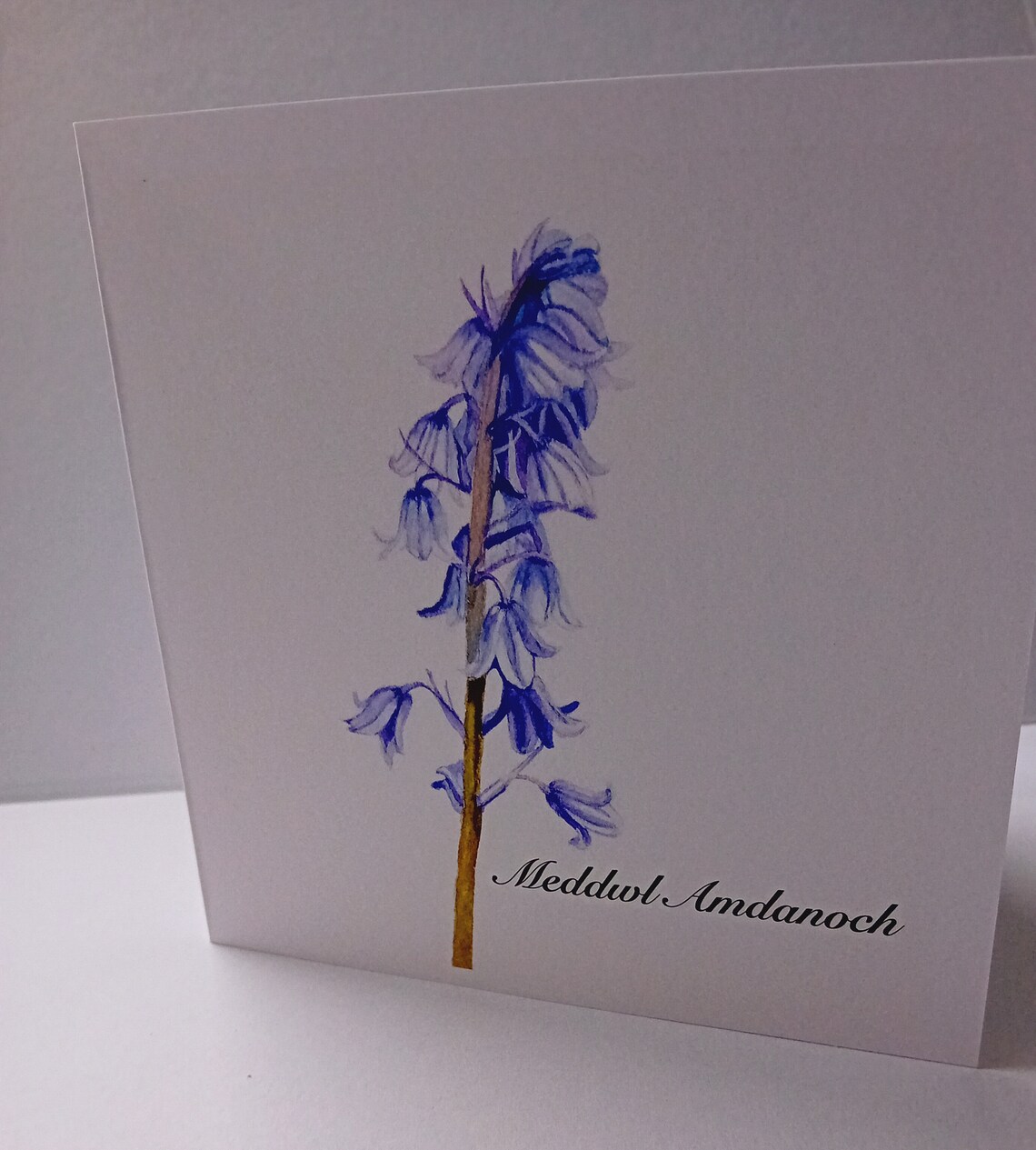 Bluebell Sympathy Card: Welsh Artist, Thinking of You - Etsy UK