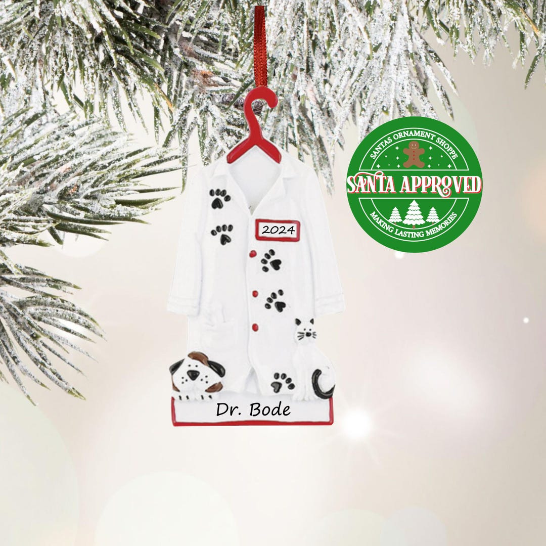 Veterinarian Personalized Ornament, Veterinarian Christmas Ornament ...