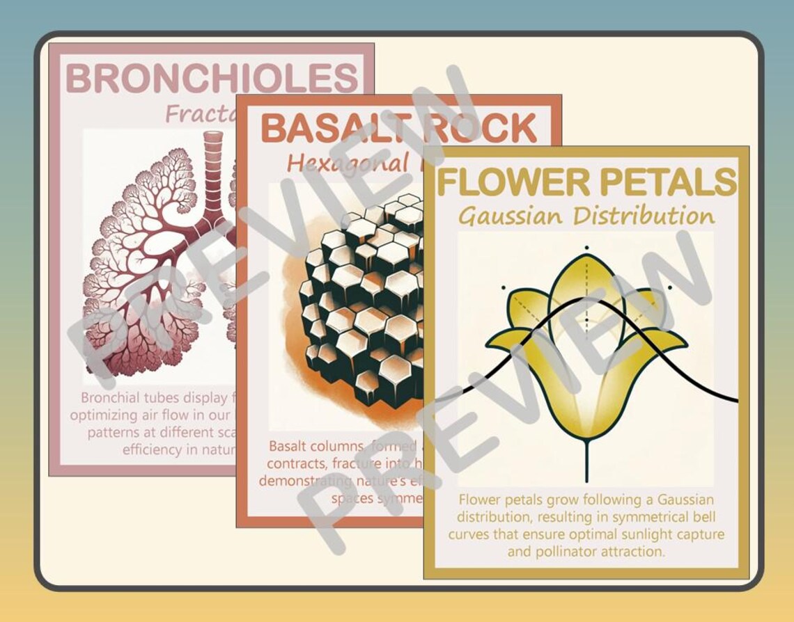 Math in Nature Poster Set | Math Classroom Decor | STEM Bulletin Board ...